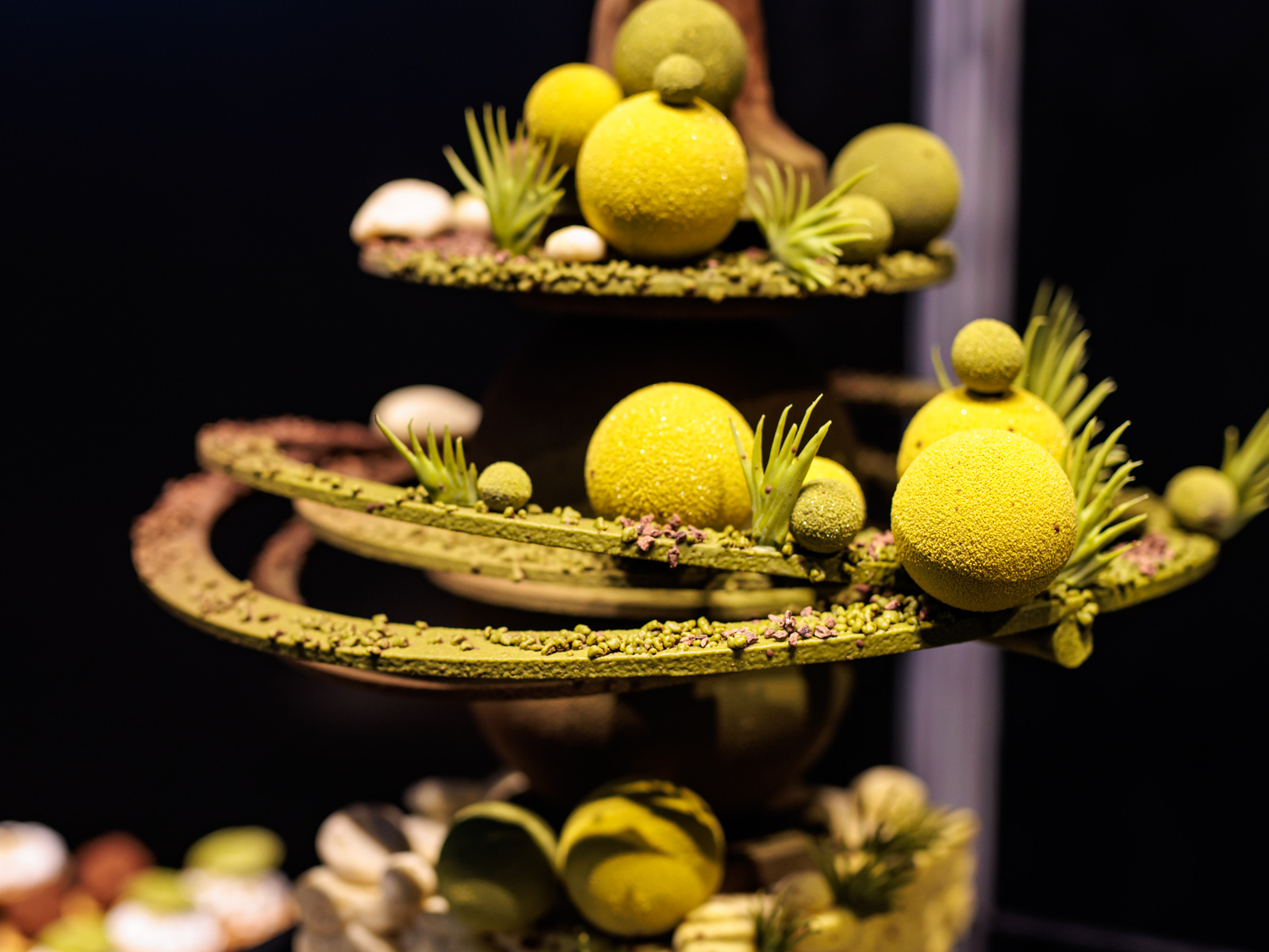 Dutch Pastry Award 2024: ontmoet de getalenteerde deelnemers • News ...